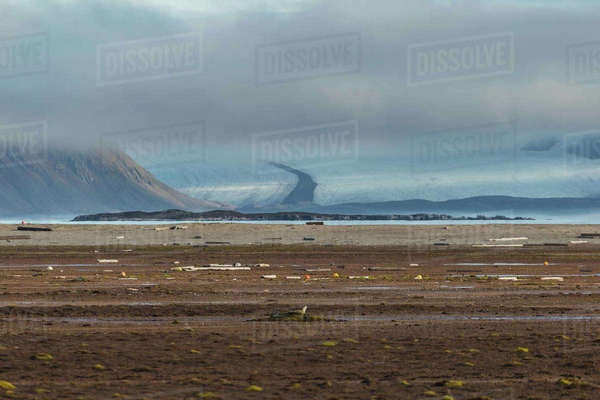 Plastic pollution in Arctic coast. - Stock Photo - Dissolve