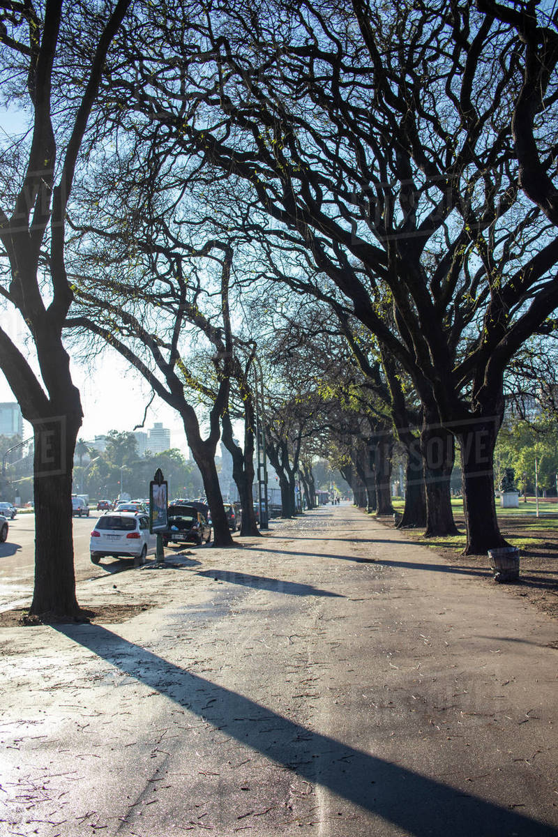 Pedestrian path between trees along the street - Royalty-free Stock ...