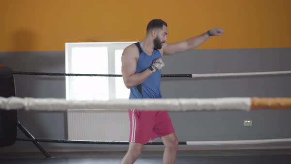 Workout of Middle Eastern boxer without opponent. Young confident man ...