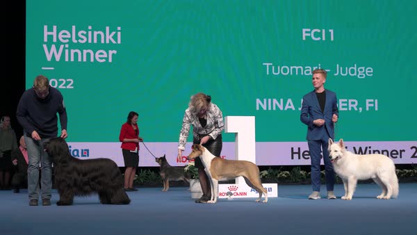 HELSINKI, FINLAND - DEC 02, 2022: Dog owners represent their pets at ...