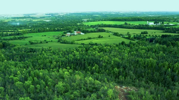 Wide Aerial view of big forest, Cheltenham Badlands Canada landscape ...