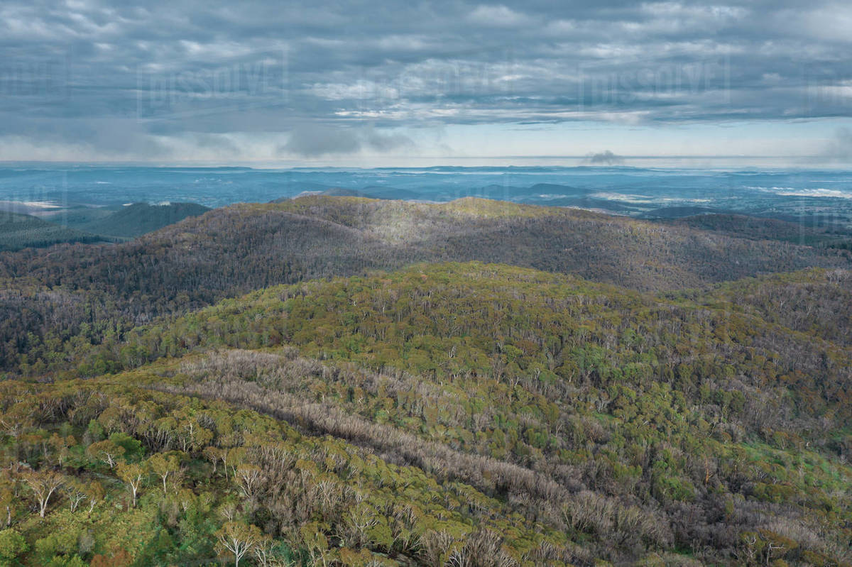 Aerial view from Mount Canobolas in the New South Wales regional town ...