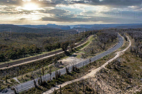 Drone aerial photograph of forest regeneration and regrowth after ...