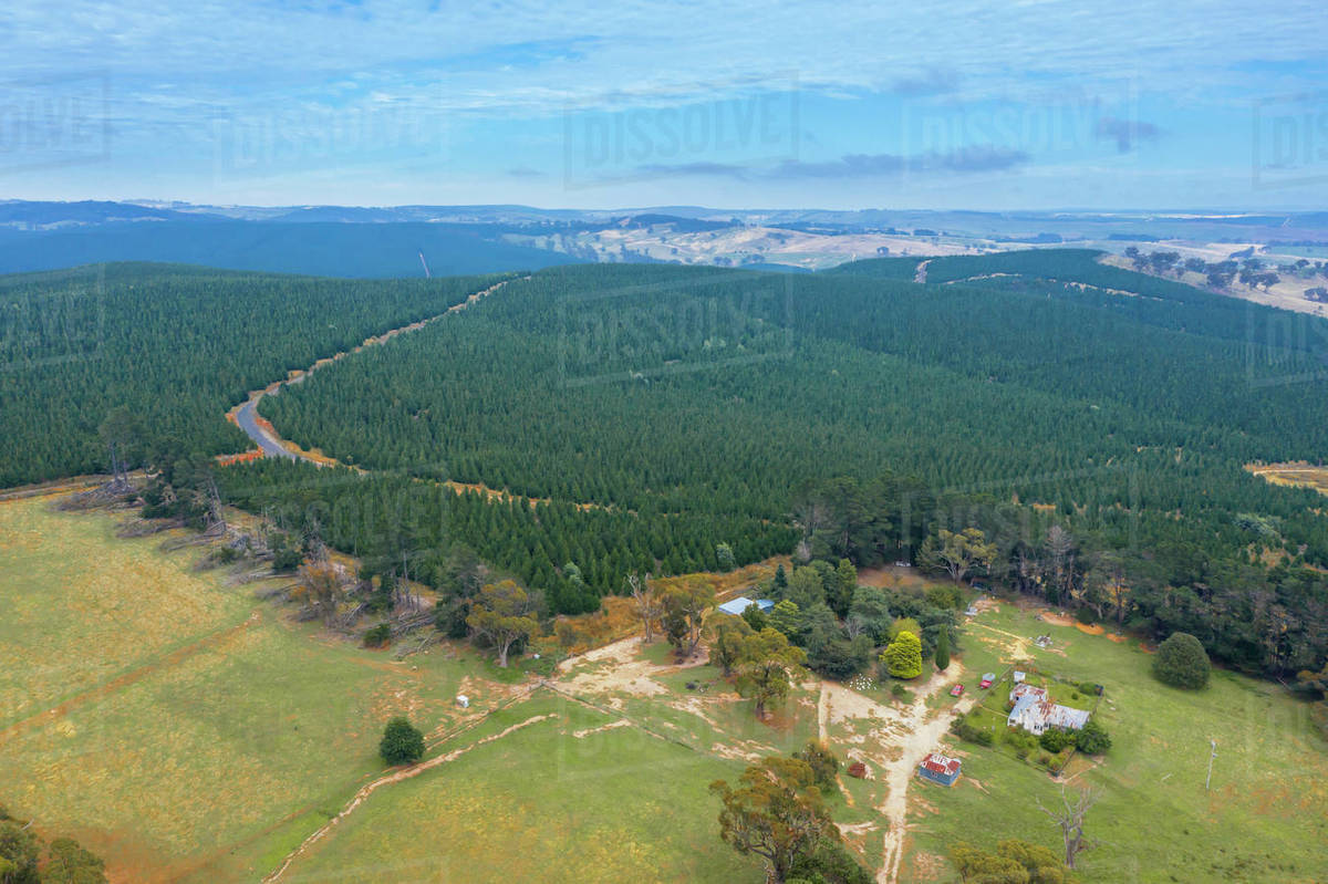 Aerial view of of green farmland in the Central Tablelands in regional ...