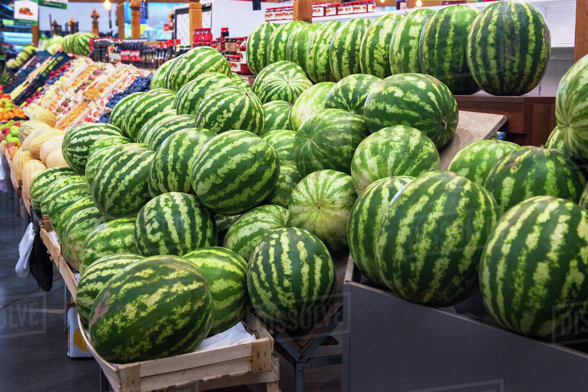 Ripe watermelons in farmer market: fresh organic healthy watermelons at ...