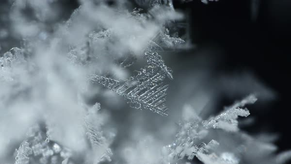 Ice crystal growth. Time-lapse microscope of dendritic ice crystals ...