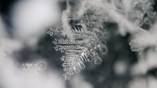 Ice crystal growth. Time-lapse microscope of dendritic ice crystals ...