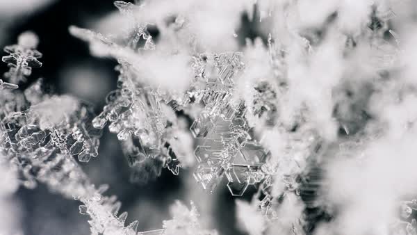 Ice crystal growth. Time-lapse microscope of dendritic ice crystals ...