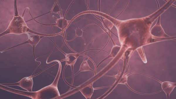 Animation of neurons firing in the brain. Neurons (nerve cells) are ...