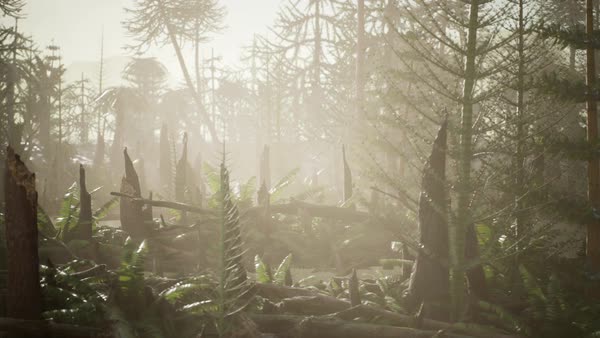 Triassic forest landscape, animation - HD Rights-managed Stock Video ...