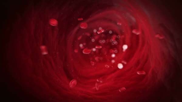 Arterial Blood Flow Of Animation
