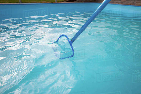 Young man hands cleaning pool by net of the dust, maintenance - Stock ...