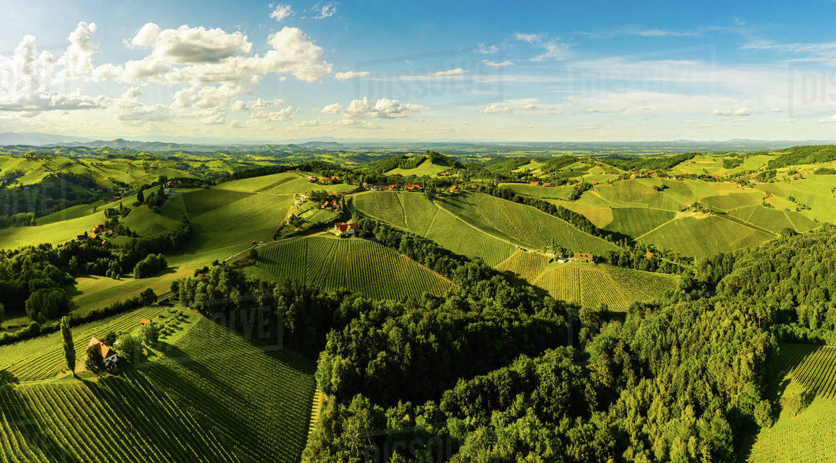 South styria vineyards aerial panorama landscape. Grape hills view from ...