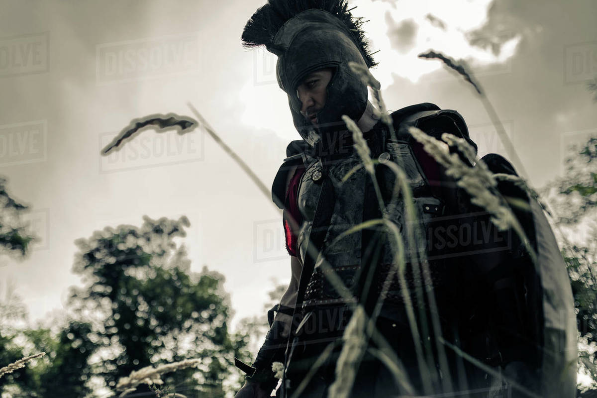 Ancient Spartan warrior in battle dress stands among meadow with shield ...