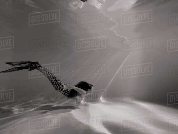 Beautiful young woman with mermaid tail swims and dives under sunlit ...