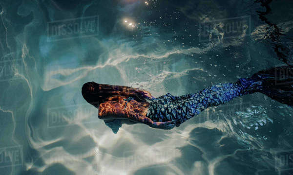 Beautiful young woman with mermaid tail swims and dives under sunlit ...