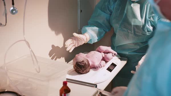 Newborn baby in hospital. Maternity professional pediatrician. Doctor ...