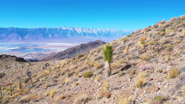 Aerial of the vast Owens Valley region reveals the Eastern Sierras of ...