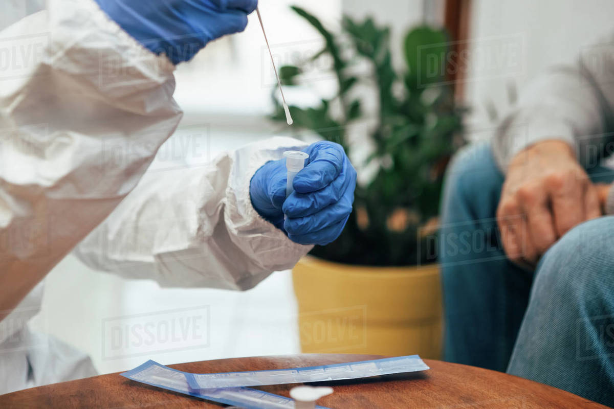 Close up of medical staff hands introducing the nasal swab to the ...
