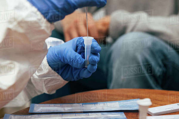 Close up of medical staff hands introducing the nasal swab to the ...