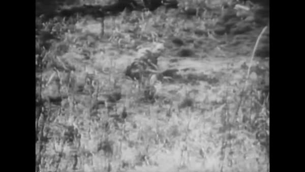 General Roy Stanley Geiger, General Allen Hal Turnage and General ...