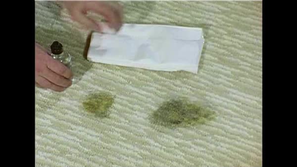 1960s - People demonstrate how to remove grease stains from a carpet ...
