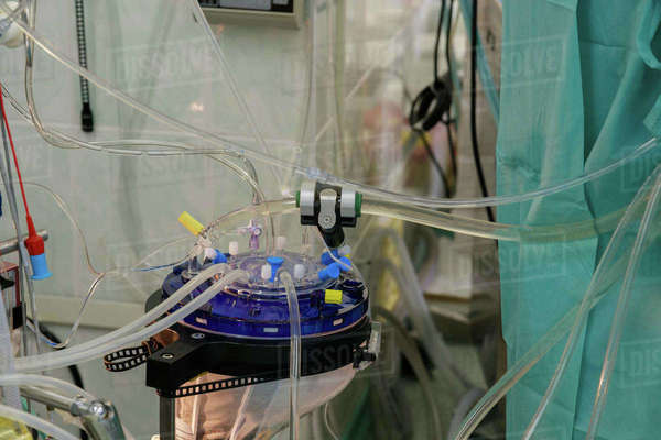 Apparatus circulation blood in operating room heart lung machine for ...