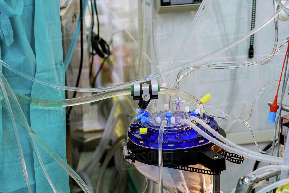 Artificial blood extracorporeal circulation in the intensive care unit ...
