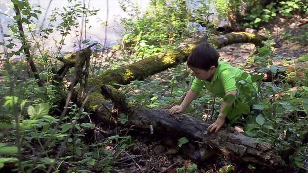 Cute little boy climbs over log all by himself, then walks uphill ...