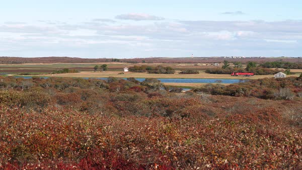 Static shot of Nantucket Island moors, cranberry bog in the distance ...