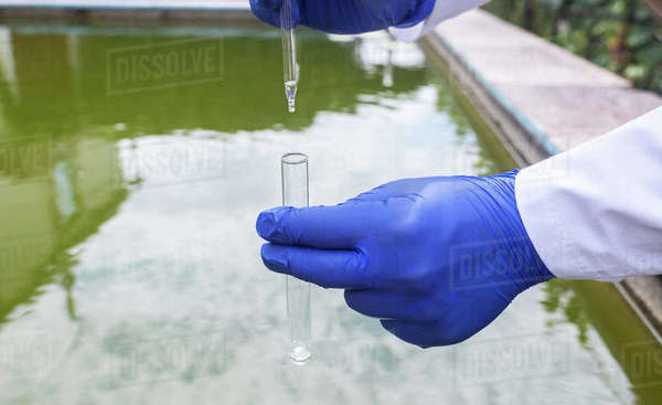 Water sample. Bacterial control of pool water. Checking the amount of ...