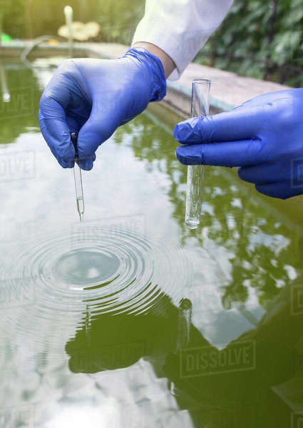 Water sample. Bacterial control of pool water. Checking the amount of ...