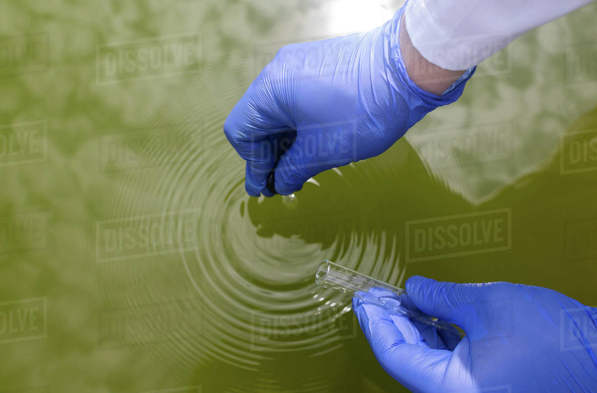 Water sample. Checking the condition of rivers or natural lakes. Water ...