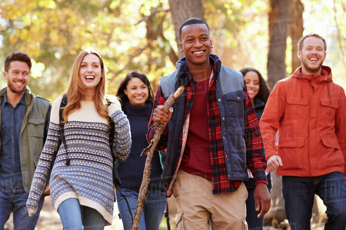 Group of six friends hiking together through a forest - Royalty-free ...
