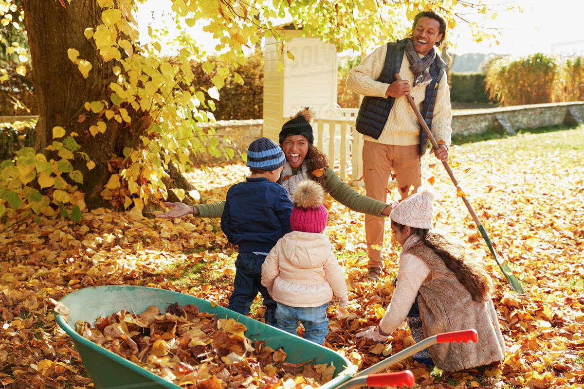 Children helping parents to collect autumn leaves in garden - Royalty ...