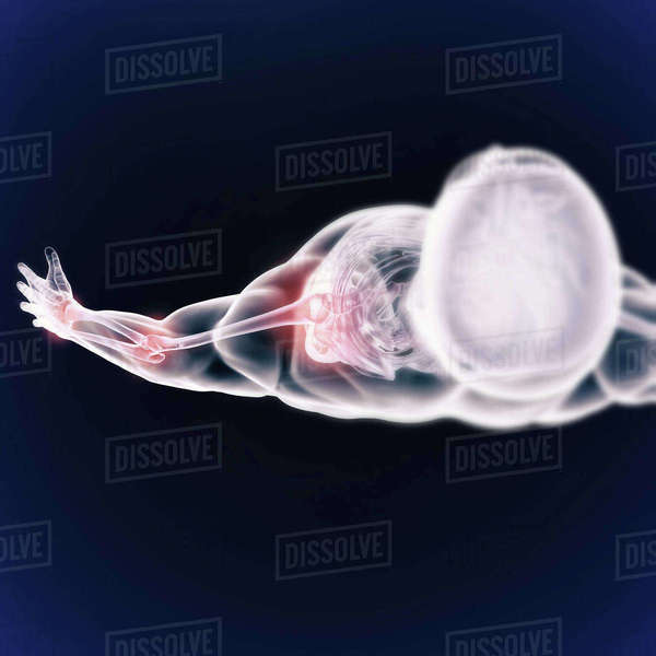 Hologram, x ray and skeleton anatomy or body, medicine and bone joint ...