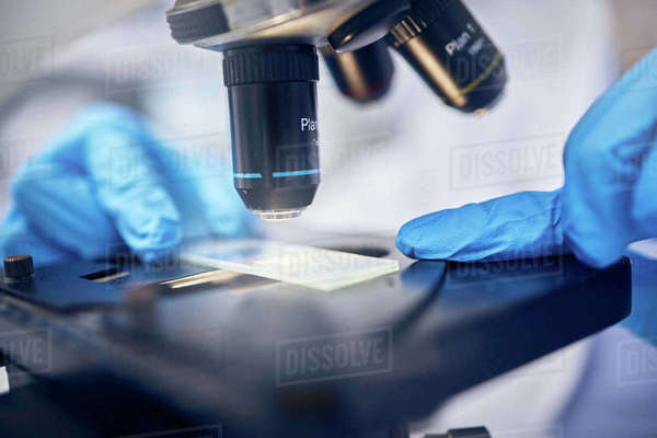 Microscope, bacteria or hands working in a science or chemistry ...