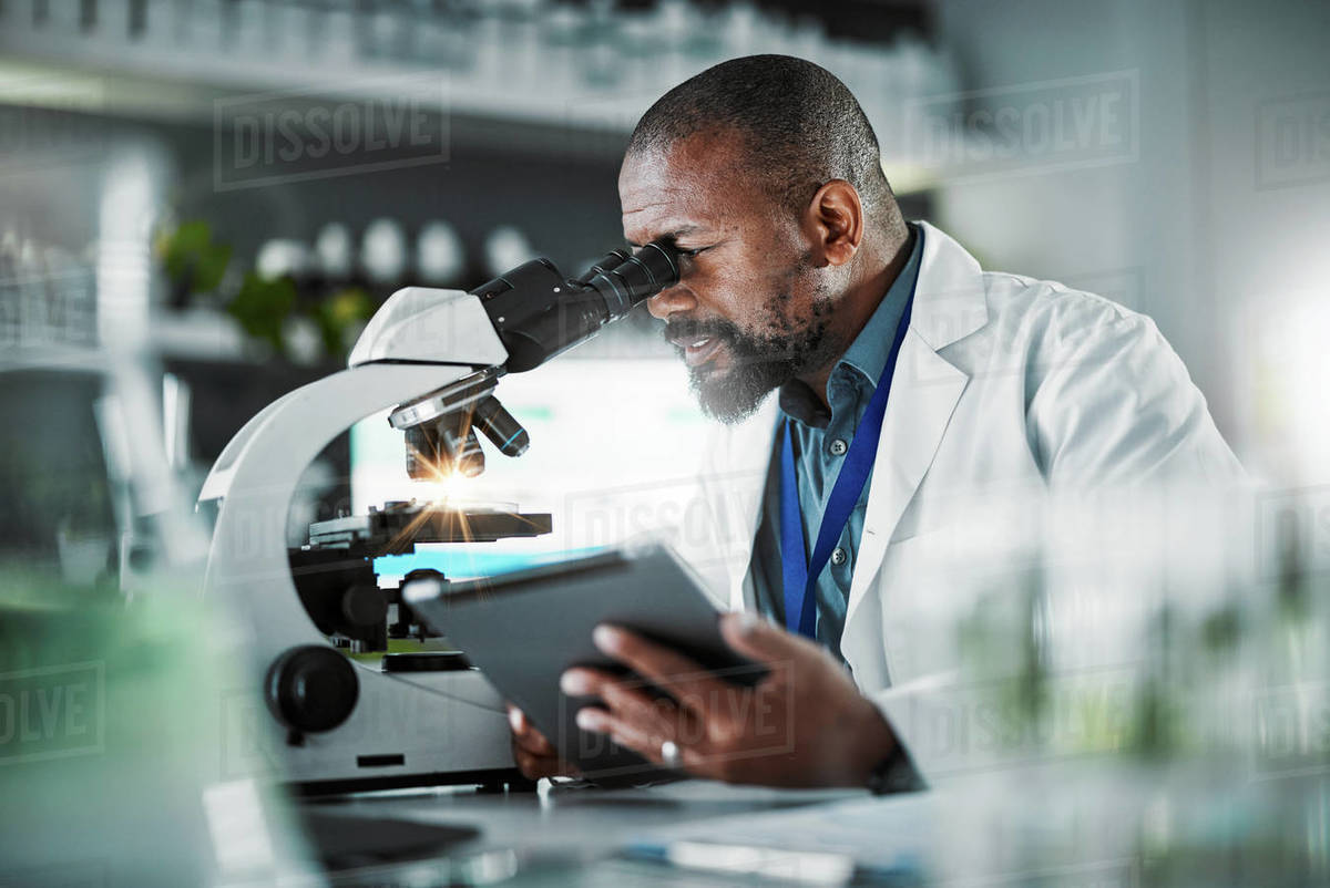 Black man scientist, microscope and plants in lab analysis, biodiversity study and vision for ...