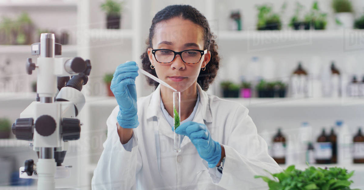 Lab worker, woman ecology scientist and test tube with chemical of ...
