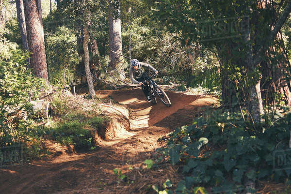 Trail, mountain bike and man cycling in the forest or woods fast, speed ...