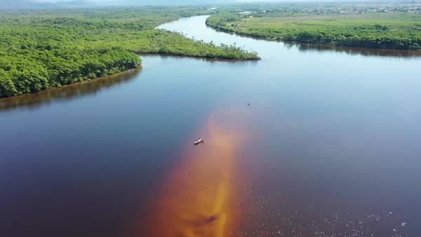 Nature landscape of Amazon Rainforest. Amazon river scenery. Amazonia ...