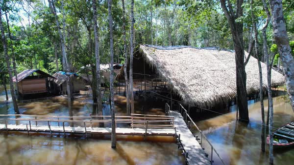 Indigenous native village at Amazon Forest Amazonas Brazil. Jungle ...