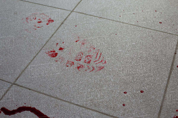 Bloody footprint from shoe on the tiles at crime scene, evidence from ...