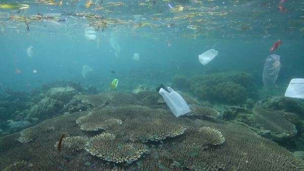 Plastic bags and other garbage floating underwater over fragile coral ...
