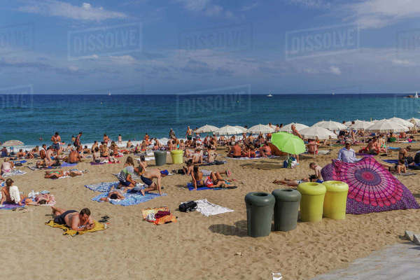 Barcelona, Spain Barceloneta beach swimmers sunbathing under a bright ...