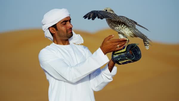Trained falcon tethered to male owner wearing traditional Arabic dress ...
