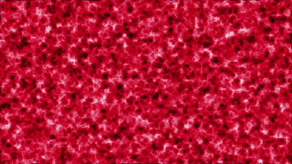 Bacterial under microscope, abstract background 4k - 4K Royalty-free ...