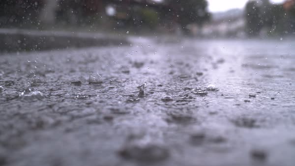 Autumn rain water drops falling into big puddle on asphalt flooding the ...