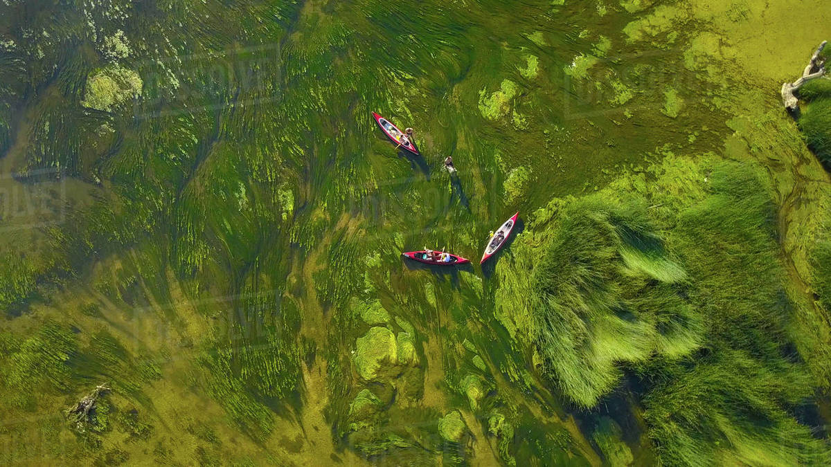 AERIAL, TOP DOWN: Young tourists on vacation get stuck in the swamp ...