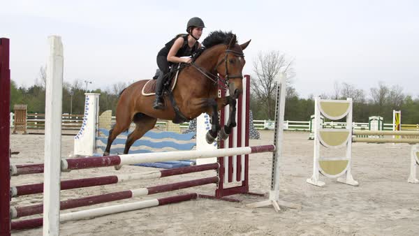 SLOW MOTION CLOSE UP: Young horsegirl horseback riding strong brown ...